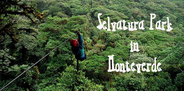 Selvatura Park in Monteverde - Flying Over the Cloud Forest