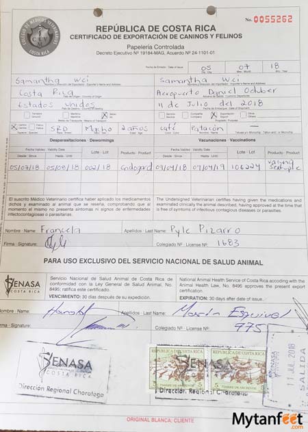 How Much Does It Cost To Get A Health Certificate For A Dog