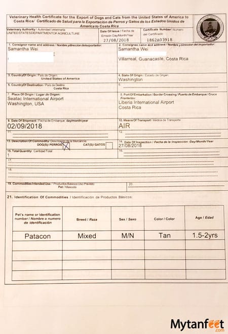  What Does A Dog Health Certificate Look Like PetMd