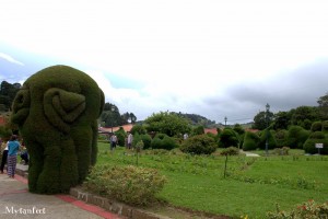 Zarcero - The Town in Costa Rica With Topiary Gardens