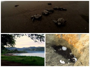 16 Awesome Day Trips from Playas del Coco, Costa Rica