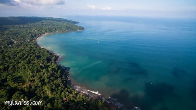 Drake Bay: What You Need to Know For the Perfect Jungle Escape