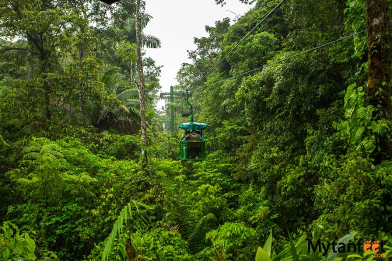 Rainforest Adventures Costa Rica Atlantic: Adventure & Nature