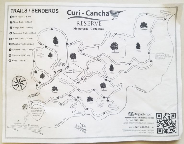 Curi Cancha Reserve Monteverde Complete Visitor's Guide