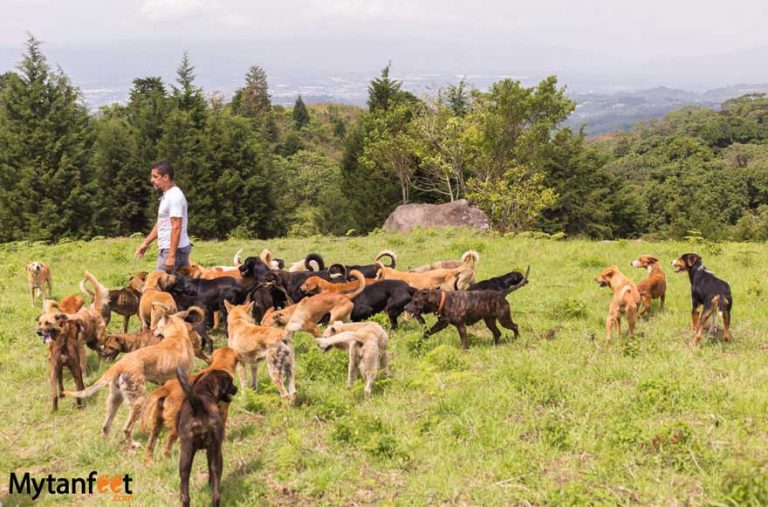 Visiting Territorio de Zaguates, the Land of Strays in Costa Rica