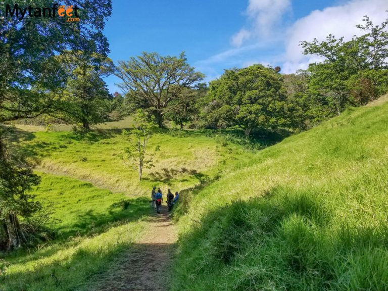 Curi Cancha Reserve Monteverde Complete Visitor's Guide