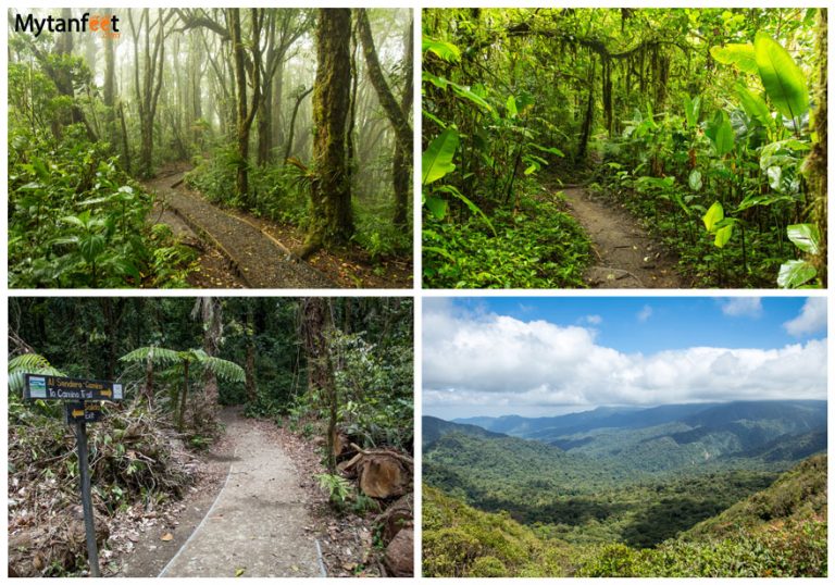 10 Great Hikes in Costa Rica For the Outdoor and Hiking Lover
