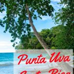 Punta Uva Puerto Viejo Costa Rica Visitor's Guide