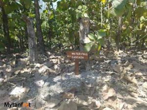 Playa Cocolito and Cocolito Falls: Treasures of Tambor
