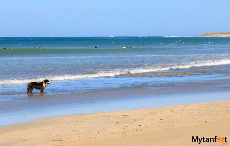 Playa Avellanas, Costa Rica: Best for Surfing, Drinks and Sunset