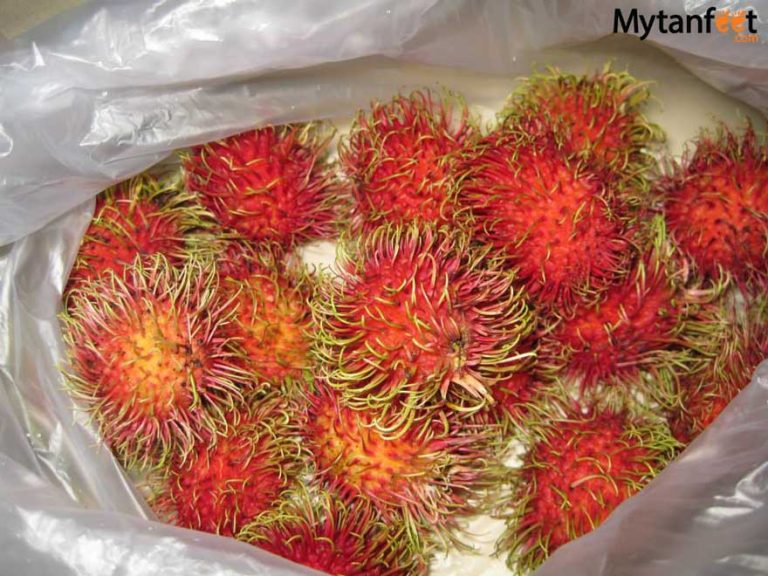 Yummy and Exotic Costa Rican Fruit You Have to Try