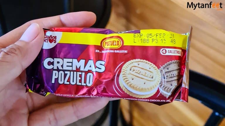 Costa Rican Snacks: Our Favorite Crunchy Snacks