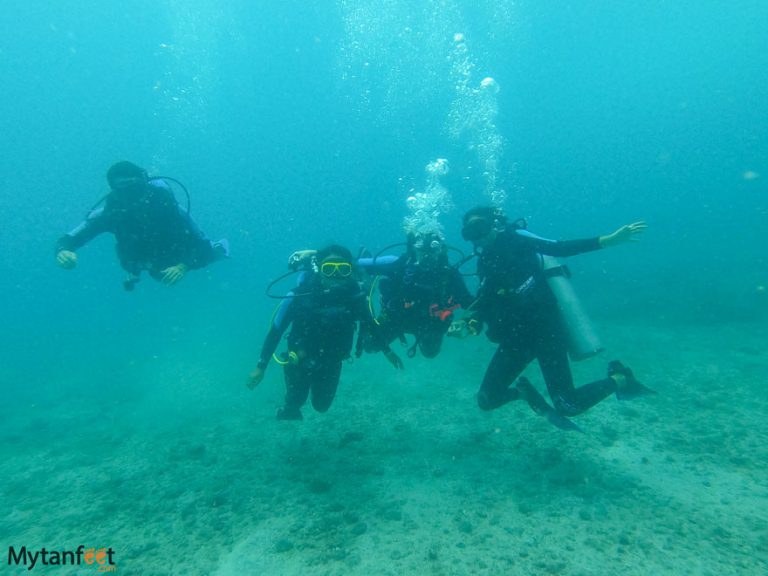 Costa Rica Scuba Diving: Best Time of Year and Places