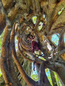 5 Awesome Free Things to Do in Monteverde, Costa Rica