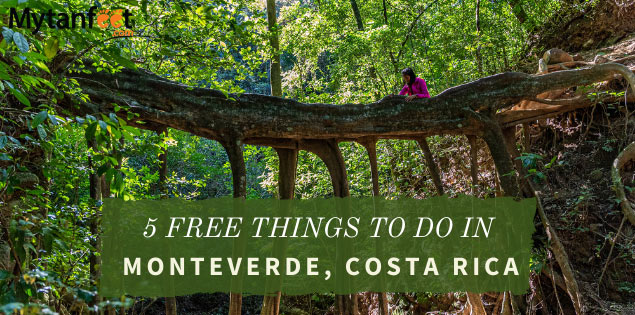 Cheap or FREE Things to Do in Monteverde, Costa Rica