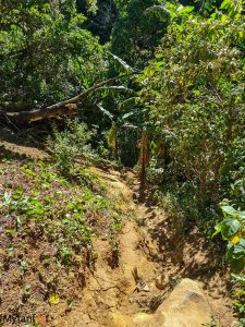 5 Awesome Free Things to Do in Monteverde, Costa Rica