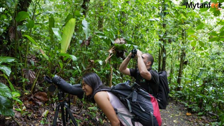 Amazing Guanacaste Rainforest Sloth Tour Day Excursion