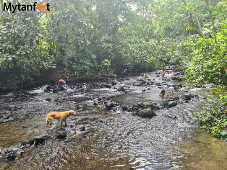La Fortuna Free Swimming Holes: El Salto and El Choyin