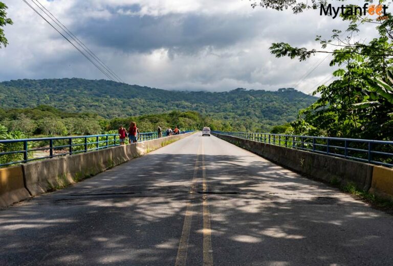 The Costa Rica Crocodile Bridge: A Wild Stop At Tarcoles River