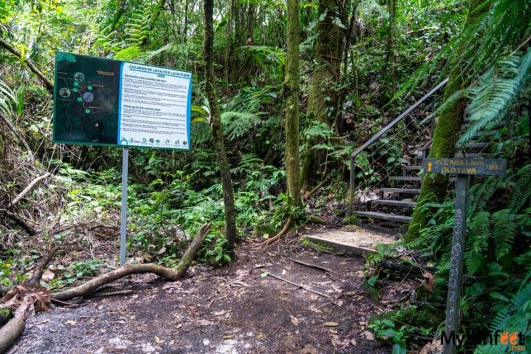 Arenal Volcano National Park Travel Guide to Plan Your Trip