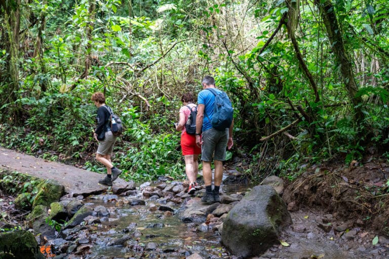 Best Shoes for Costa Rica: Which Type of Shoes to Bring