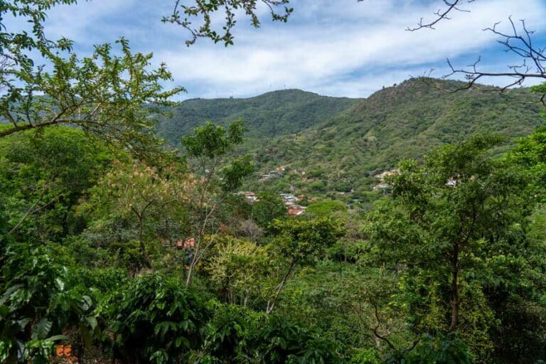 Hacienda La Chimba: San Jose Coffee Hike