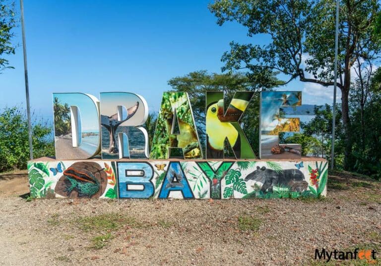 Drake Bay: What You Need to Know For the Perfect Jungle Escape