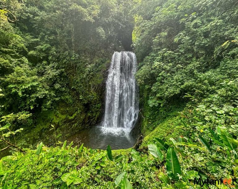 El Tigre Waterfalls Monteverde Waterfalls Hike