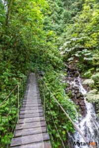 El Tigre Waterfalls Monteverde Waterfalls Hike