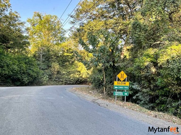 Route 911 Monkey Trail: River Crossing, Road Conditions & More