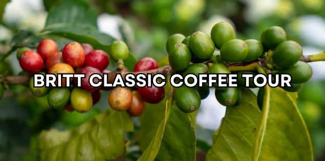 Cafe Britt Coffee Tour: Book Your Tour Today