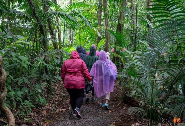 Find out What Costa Rica in June is Like