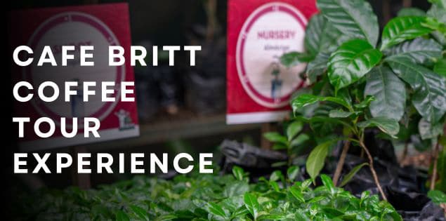 Cafe Britt Logo Café Britt® Costa Rican Afternoon Blend Coffee 12 UK