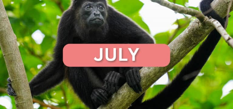 Costa Rica by Month: Find Out What Each Month is Like