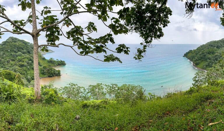 Cocos Island National Park: How to Visit Costa Rica's Oceanic Treasure