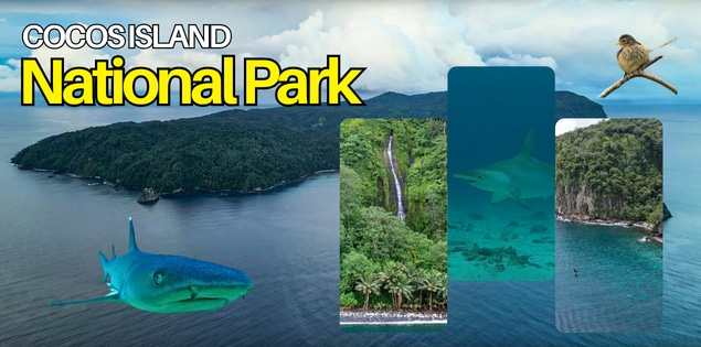 Cocos Island National Park: How to Visit Costa Rica's Oceanic Treasure