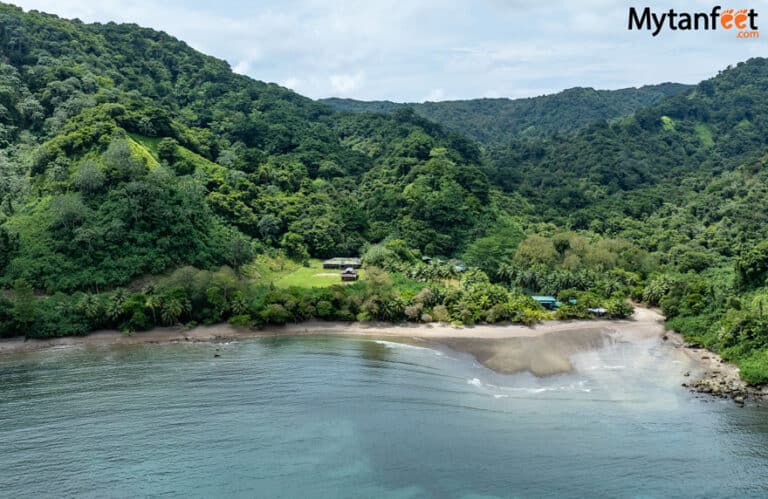 Cocos Island National Park: How to Visit Costa Rica's Oceanic Treasure