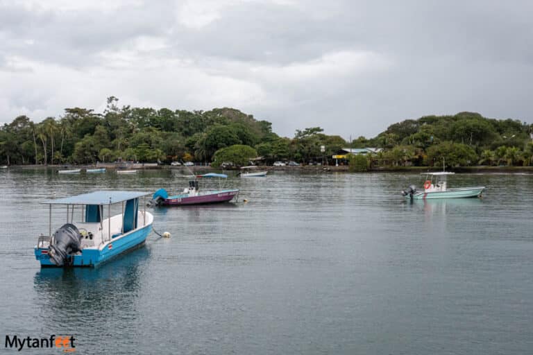 Puerto Jimenez: The Heart of the Osa Peninsula