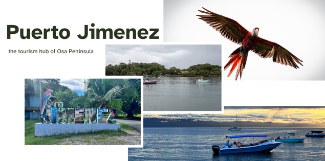 Puerto Jimenez: The Heart of the Osa Peninsula