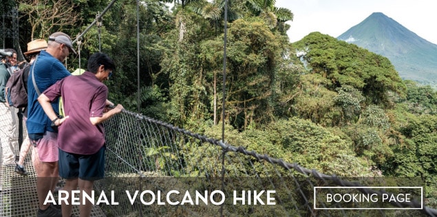Arenal Hanging Bridges in La Fortuna: Book Your Tour!