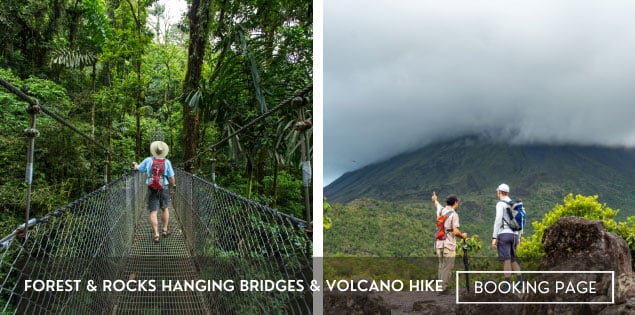Forest and Rocks Hanging Bridges and Volcano Hike: Book Now!