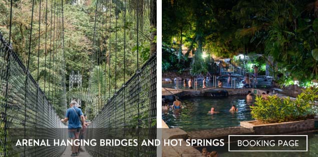 Arenal Hanging Bridges with Hot Springs and Meal: Book Today!