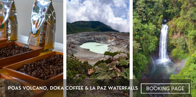 Doka Coffee, Poas Volcano & La Paz Waterfall Garden Tour