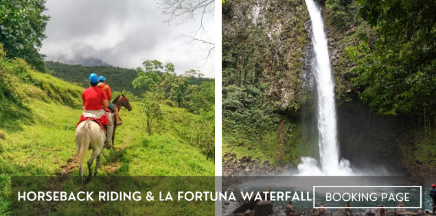 Horseback Riding and La Fortuna Waterfall: Book The Tour Today!