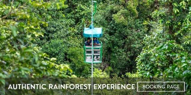 Authentic Rainforest Experience Day Tour from San Jose