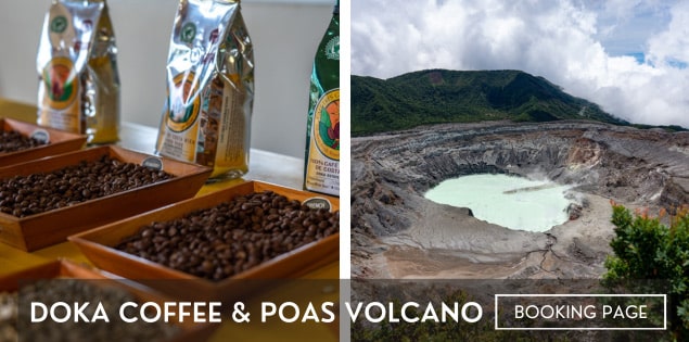 Doka Coffee and Poas Volcano Tour from San Jose: Book Today!