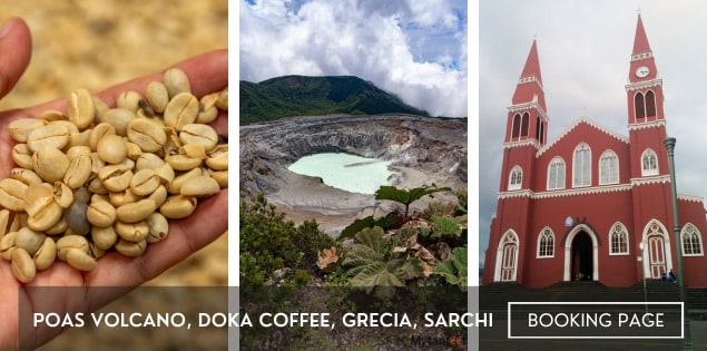 Poás Volcano, Doka Coffee, Grecia and Sarchi Tour: Book Today!