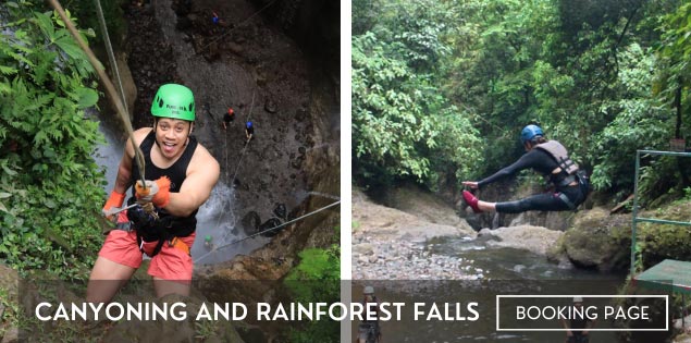 Pure Trek Canyoning and Rainforest Falls: Book Your Tour!