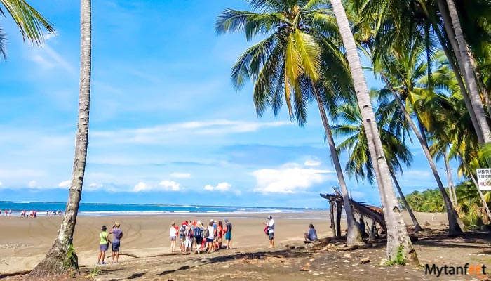 Uvita Whale Watching Tour: Book Today!